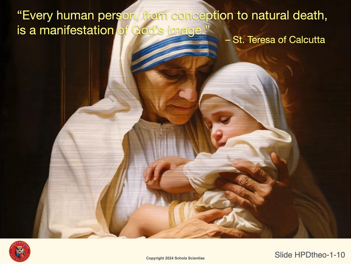 Human Prenatal Development Unit: Available NOW – lablearner.com