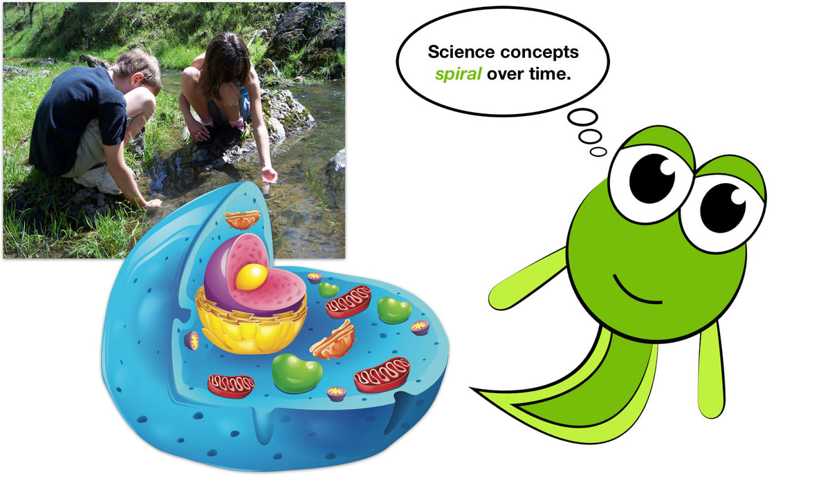 Tadpole Tails, Cancer and Science Education – lablearner.com