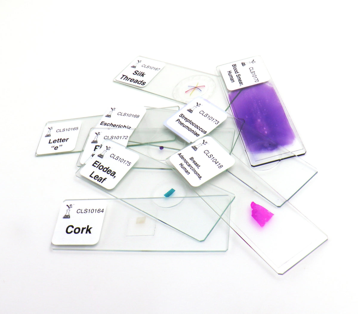 Prepared Slides – lablearner.com