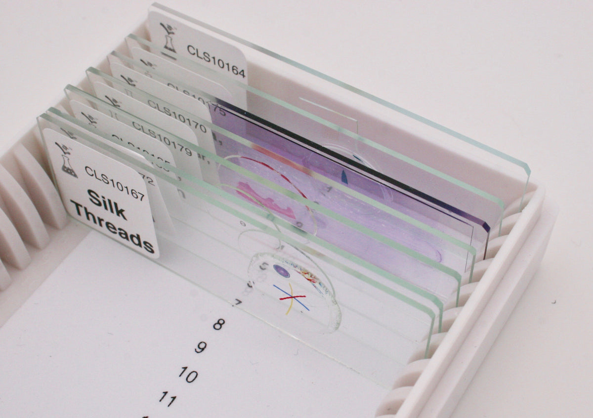 Microscope Slide Kit/Set - Elementary School Grades (1 slide each ...