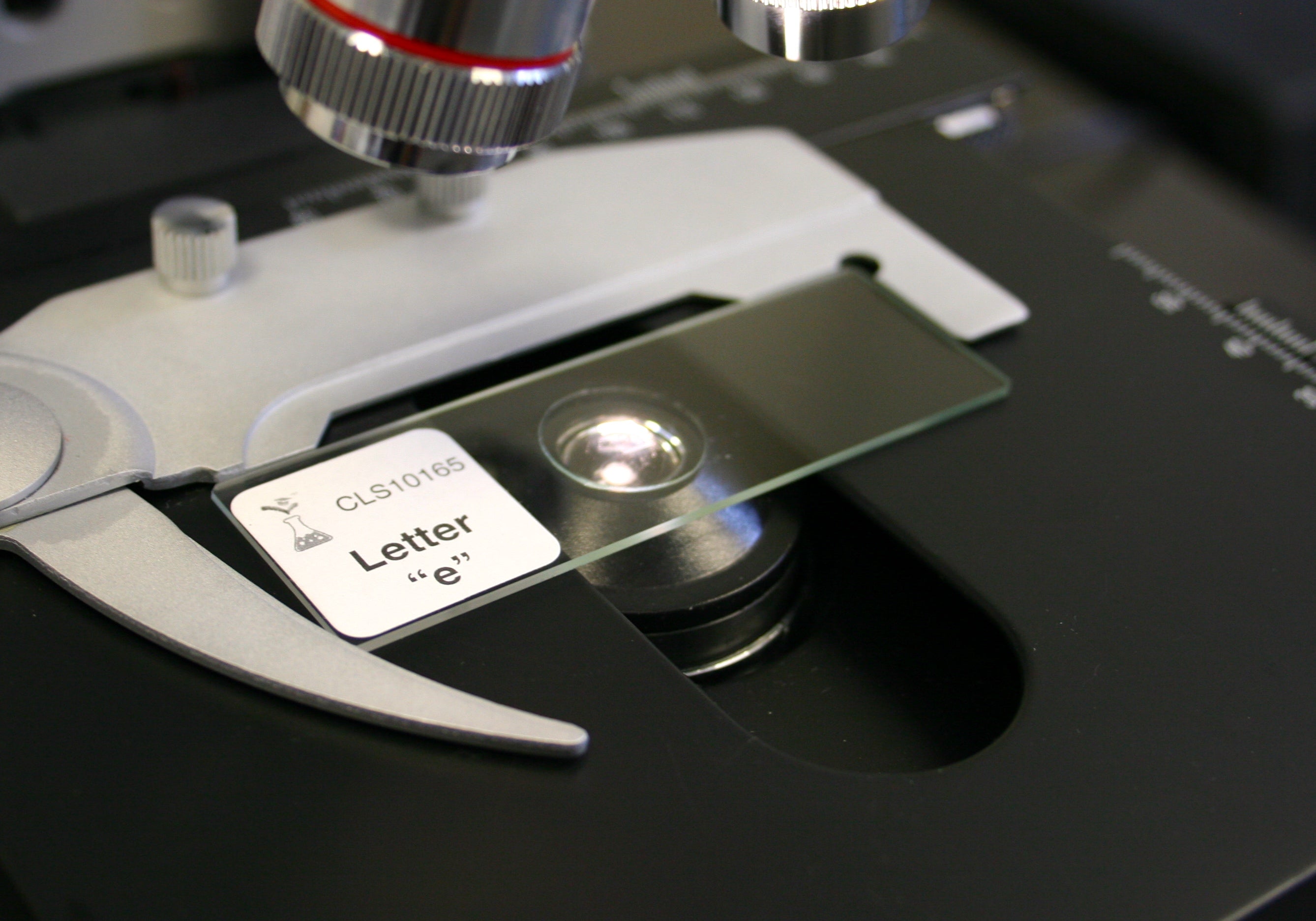 Prepared Microscope Slide, Letter "e" – lablearner.com